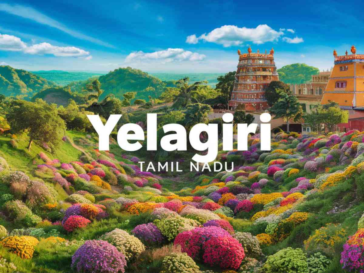 10 Fascinating Facts About Yelagiri Hill Station You Didnt Know