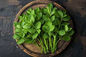 Methi : Latest News, Videos and Photos on Methi - India.Com News