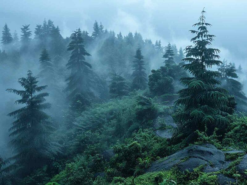 Find Out More About These Amazing Places To Visit In Shimoga