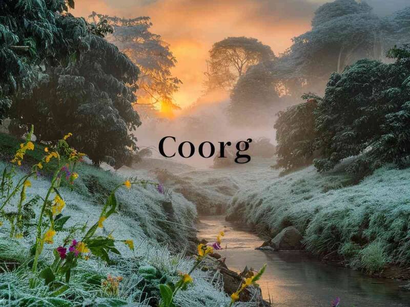 Enjoy The Best Of Misty Hills One Can Experience In Winters Of Coorg