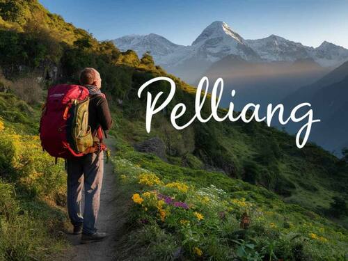 Pelling Travel Guide : Latest News, Videos and Photos on pelling-travel ...