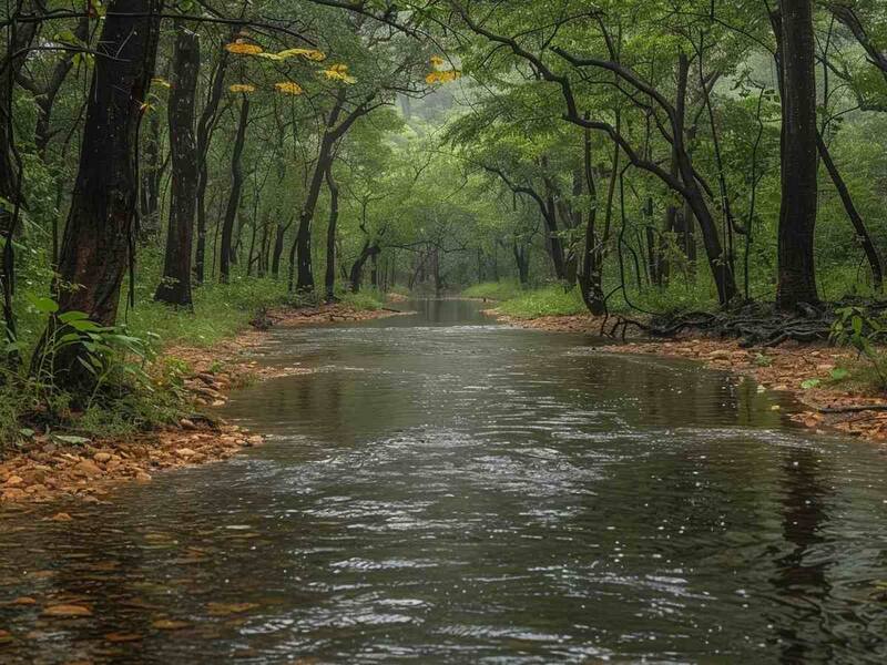 Flow Through The Best Natural Rivers In Hyderabad