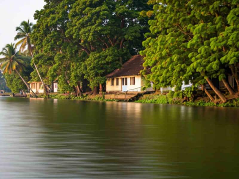 Explore The Best Flowing Rivers While Traveling Through Munnar In Kerala