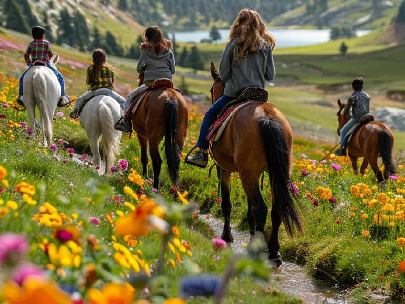 Explore Sonmarg: A First-Timers Guide To Kashmirs Meadow Of Gold