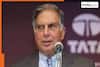 Starbucks, Zudio, Zara: Popular brands owned by Tata Group of Ratan Tata