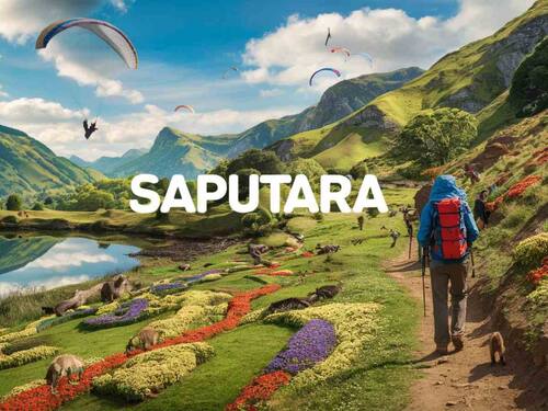 Unleash Your Adventurous Spirit With Best Adventures In Saputara Of Gujarat