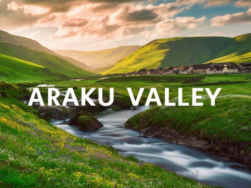 Know More About The Flowing Beauty Of Araku Valley With These 5 ...