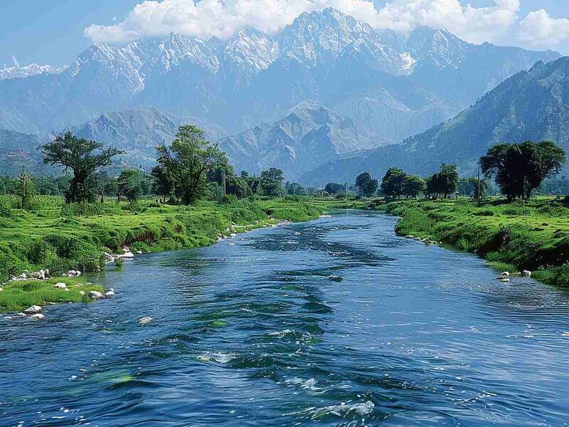 Make Memories With These 5 Must-Do Kids Activities In Palampur Of ...