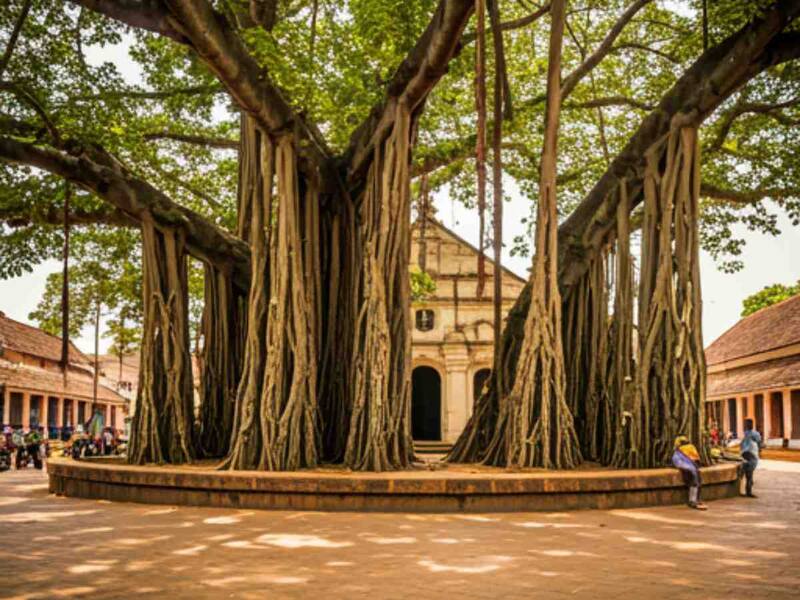Plan A Perfect Family Holiday With These Places To Visit In Kozhikode