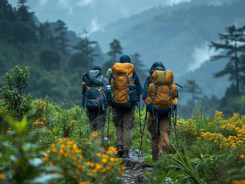 Your Ultimate Guide To Best Fun Activities Worth Exploring In Munnar