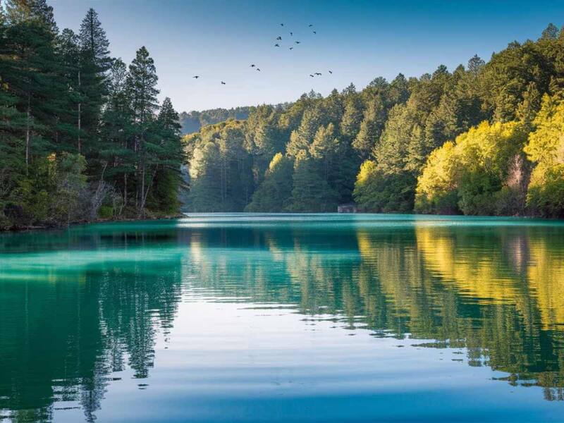 Explore Ranikhet: The Ultimate Destination For Nature And History ...