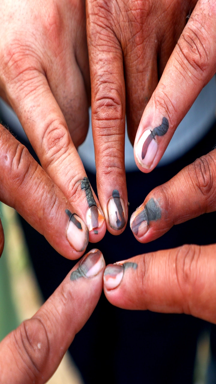 Maharashtra Assembly Election: How to check your name on Voters list