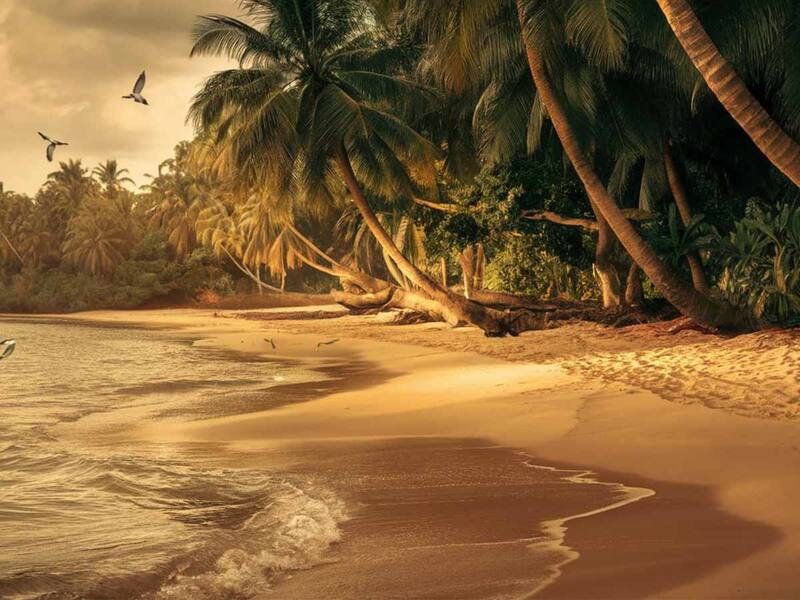 Top 5 Beaches Near Wayanad That Will Make Your Vacation Magical