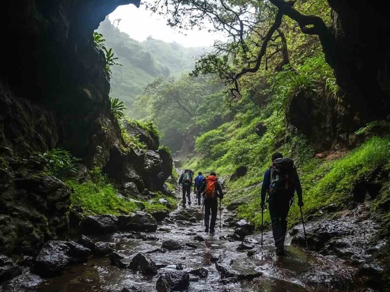 Explore Araku Valley With Trekking Paradises One Shouldnt Miss While ...