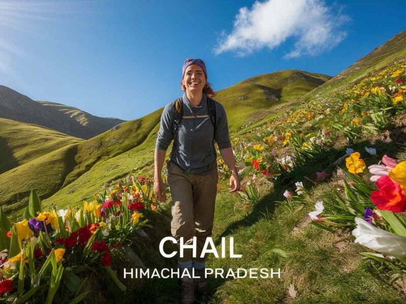 Your Essential Guide To Solo And Safe Travel To Chail In Himachal Pradesh