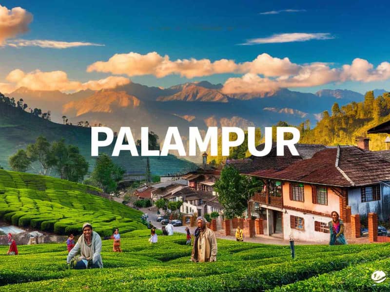 Discover Fun Adventures For Solo And Safe Traveling To Palampur