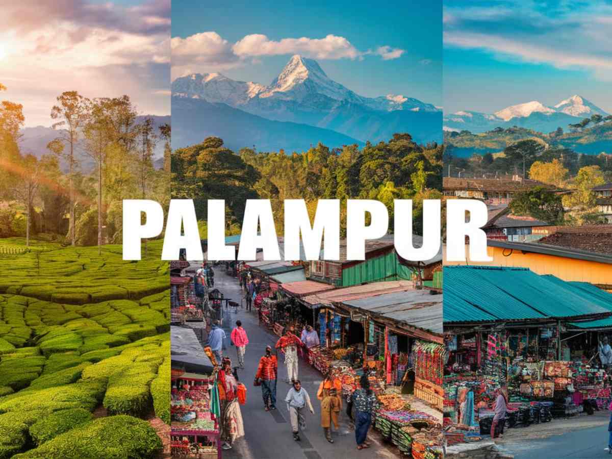 Planning A Trip? Here’s How To Get To Palampur From Major Cities