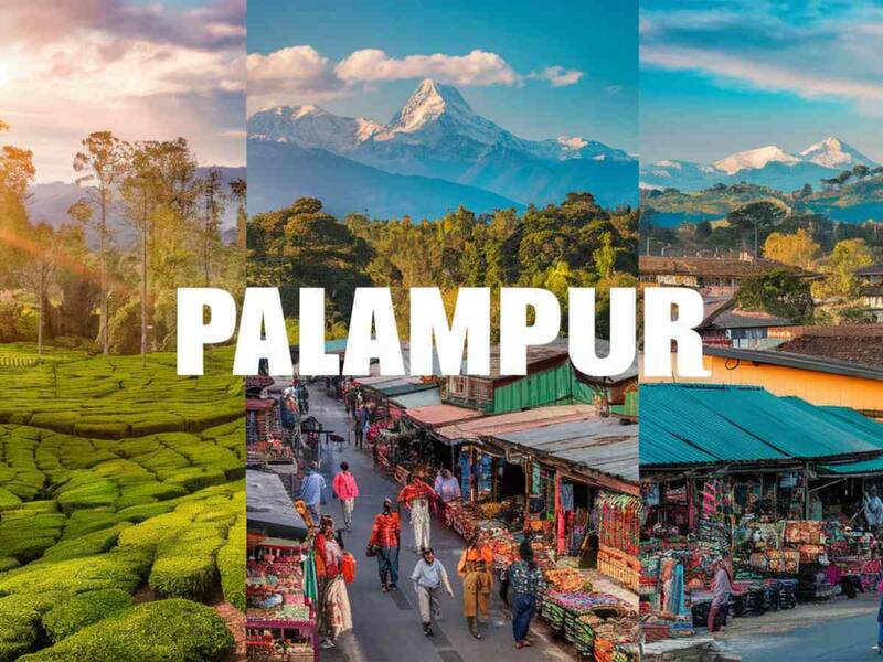 Planning A Trip? Here’s How To Get To Palampur From Major Cities