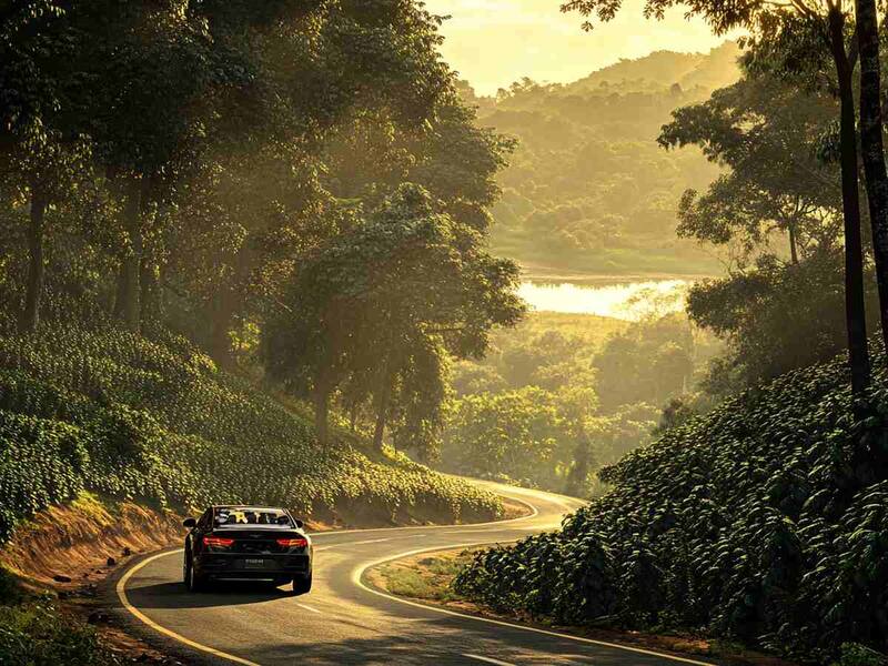 Scenic and Serene Road Trip Routes From Coorg You Haven’t Heard Of