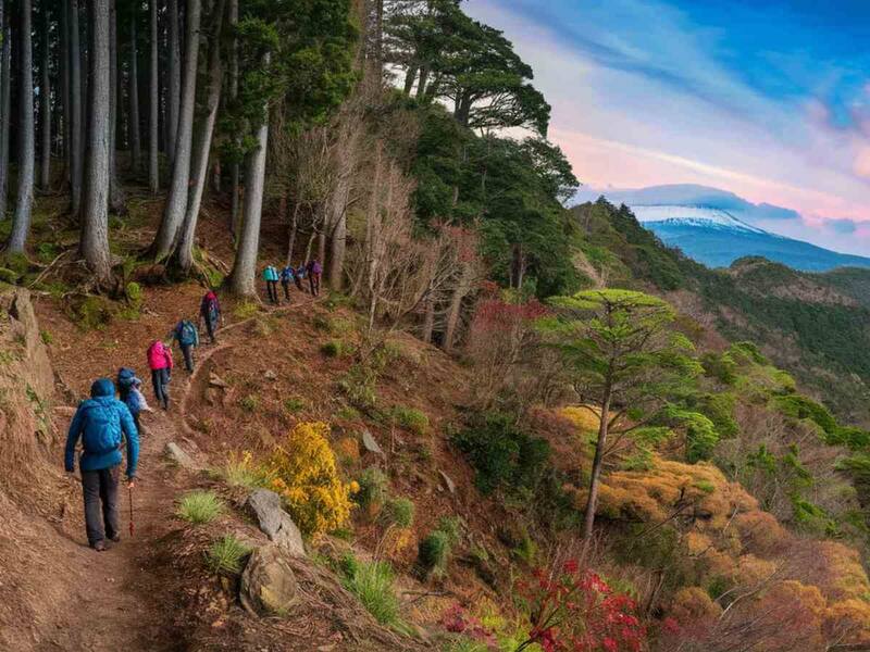 Top 6 Offbeat Treks For Adventurous Travelers Around Kufri Of Himachal ...