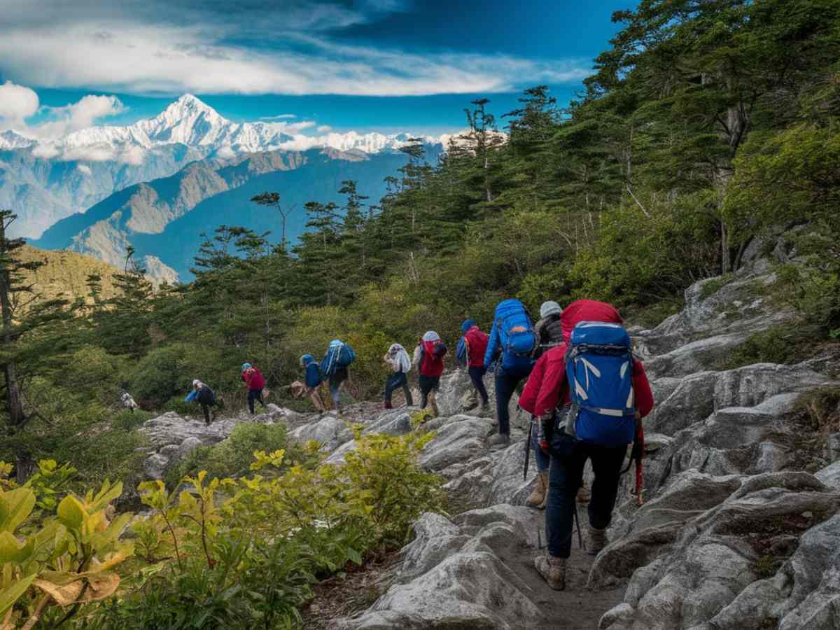 Top 6 Offbeat Treks For Adventurous Travelers Around Kufri Of Himachal ...