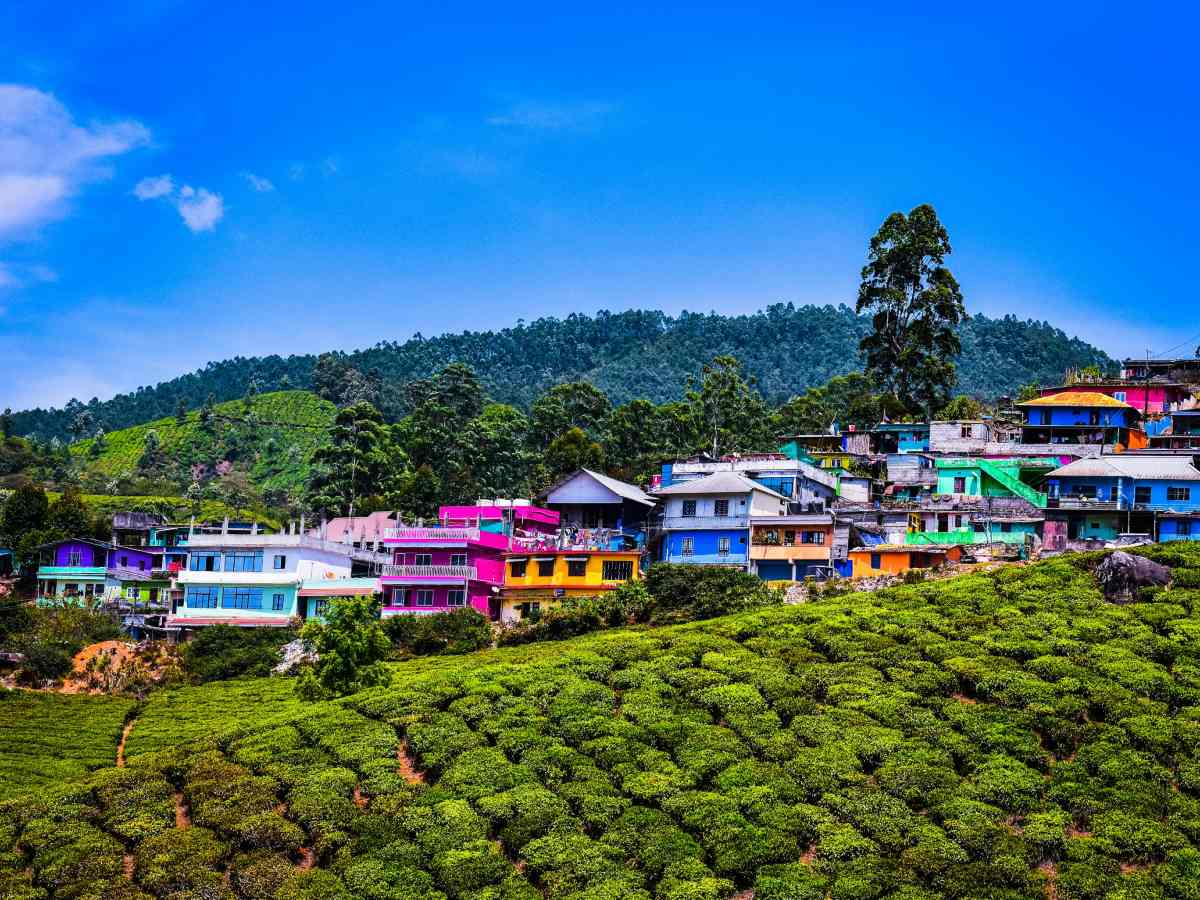 Breathtaking Munnar: Explore Keralas Luxurious Hill Station In Cold 0 ...