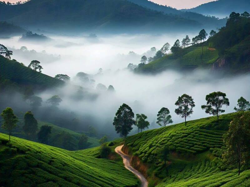 Thekkady Beyond The Crowds With These 7 Must-See Hidden Gems