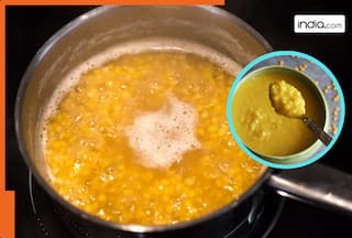 Daal News in Hindi, Latest Daal News | India.Com News