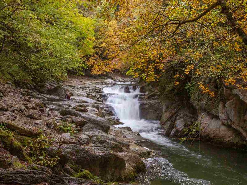 Top 5 Most Beautiful Rivers In Tamil Nadu You Must Visit