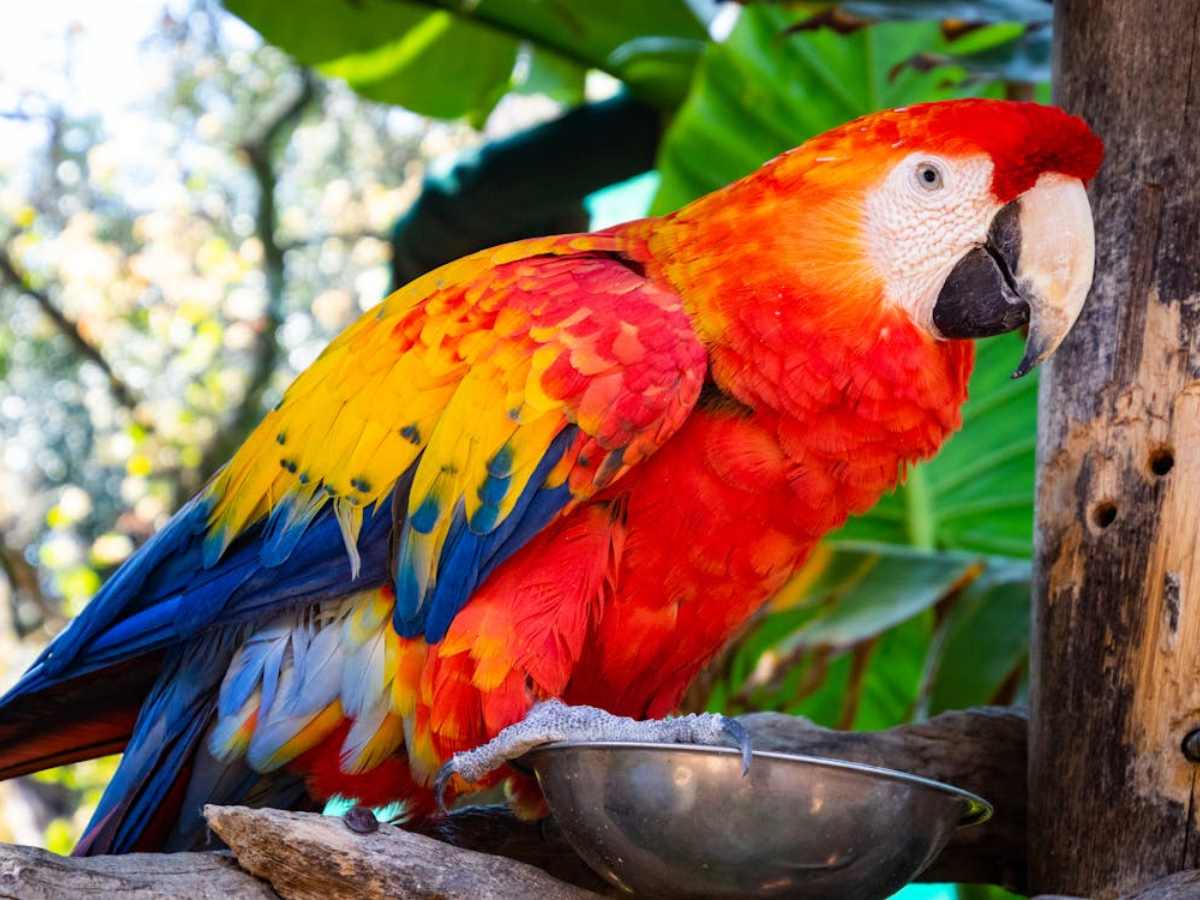 7 Best Birdwatching Spots Near Bangalore for Nature Enthusiasts