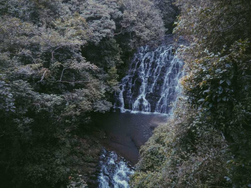 Top 5 Waterfalls Near Shimla You Can’t Miss