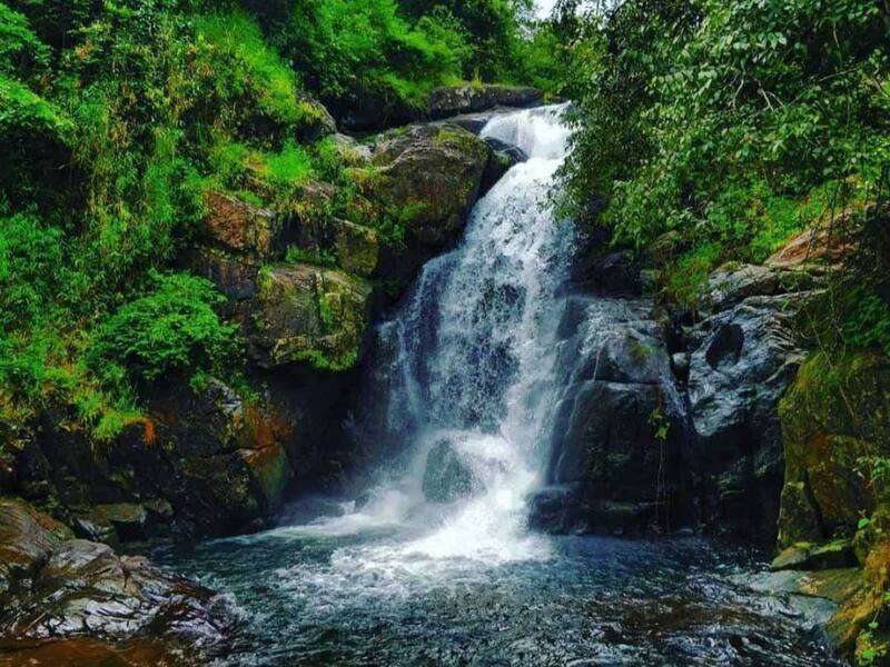 Top 8 Waterfalls Near Thiruvananthapuram You Can’t Miss