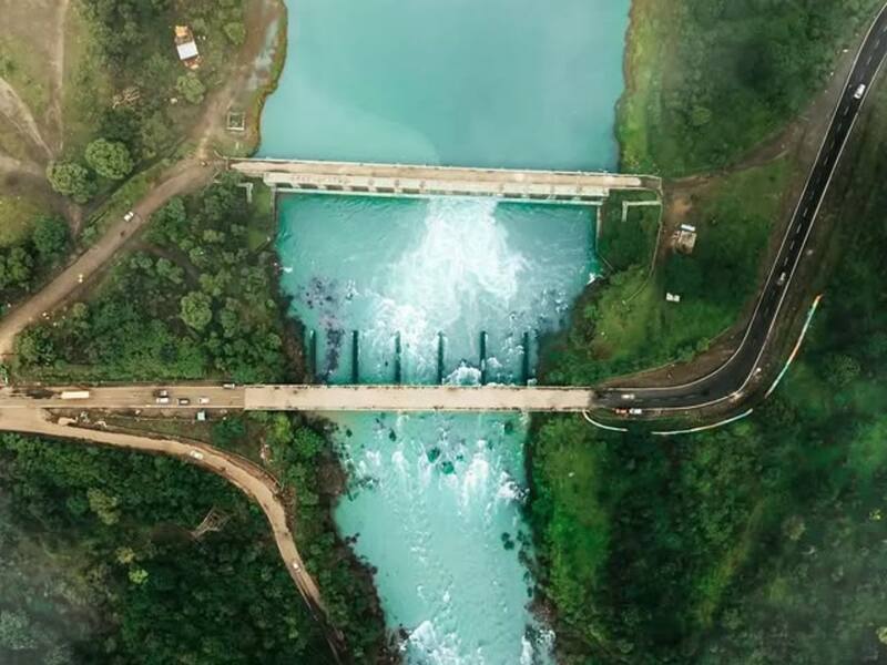 5 Ultimate Wildlife Safari Experience Near Bhopal