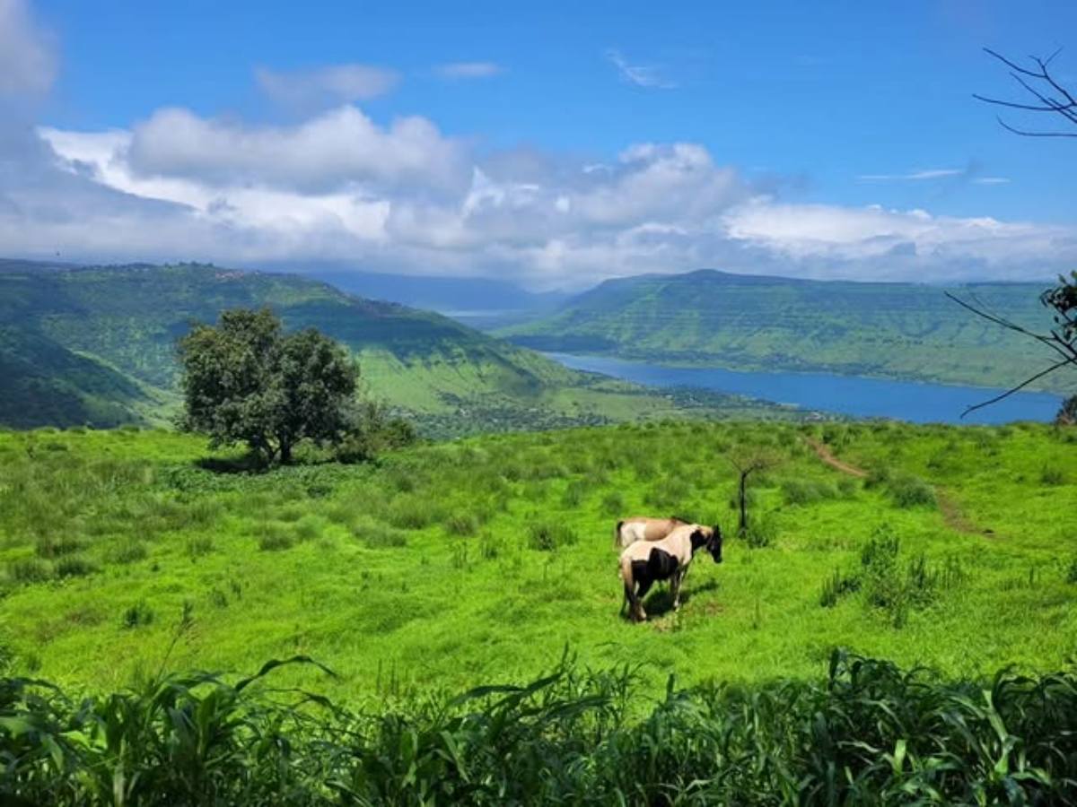 Explore 7 Amazing Hill Stations Near Pune This Summer