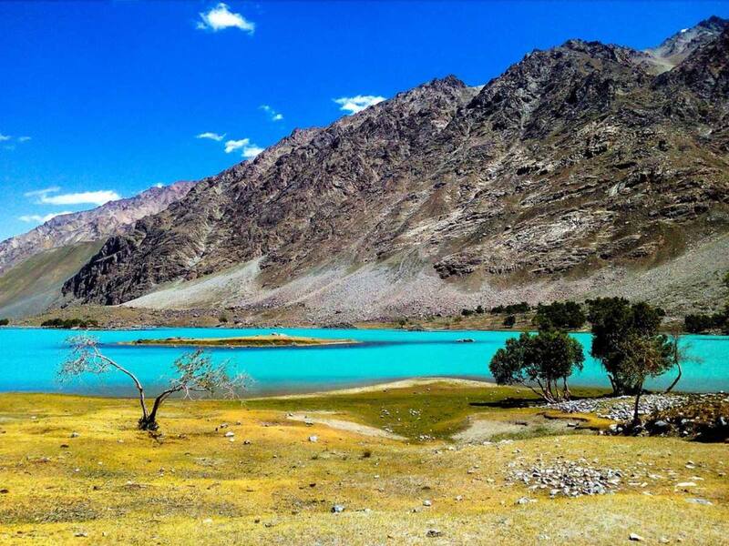 Top 7 National Parks Around Shimla City For Wildlife Safaris