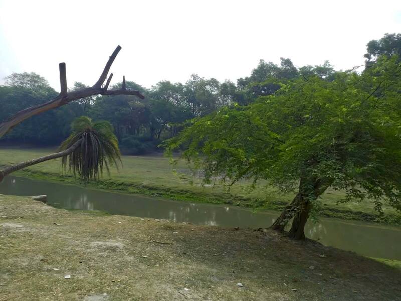 6 Best Birdwatching Spots Near Lucknow City For Nature Lovers