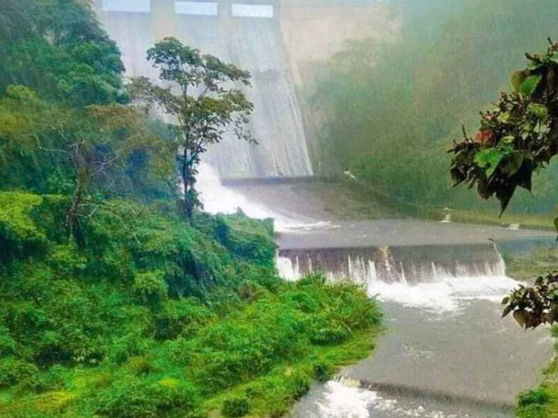 6 Ultimate Wildlife Safari Experience Near Coimbatore