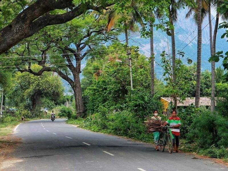 5 Ultimate Wildlife Safari Experience Near Coimbatore City