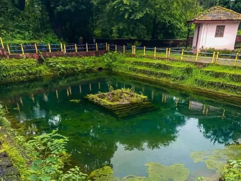 Explore The 5 Most Unusual Natural Phenomena Around Goa