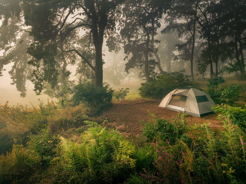 What It’s Like To Spend a Night In The Middle Of Jaipur Citys Forest
