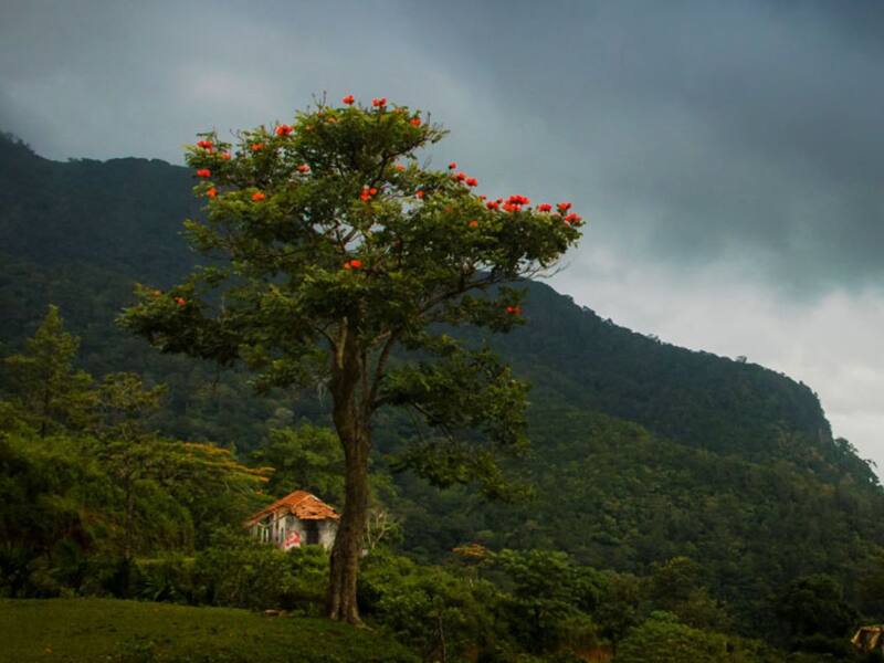 Know Why These Hill Stations Near Thiruvananthapuram Should Be On Your ...