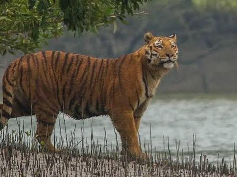 Into The Wild Along With Top 6 Perilous Hiking Trails Within Reach Of ...