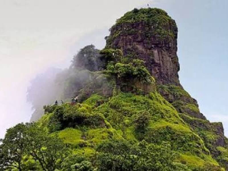 Top 7 Birdwatching Locations Around Mumbai Every Nature Lover Must Visit