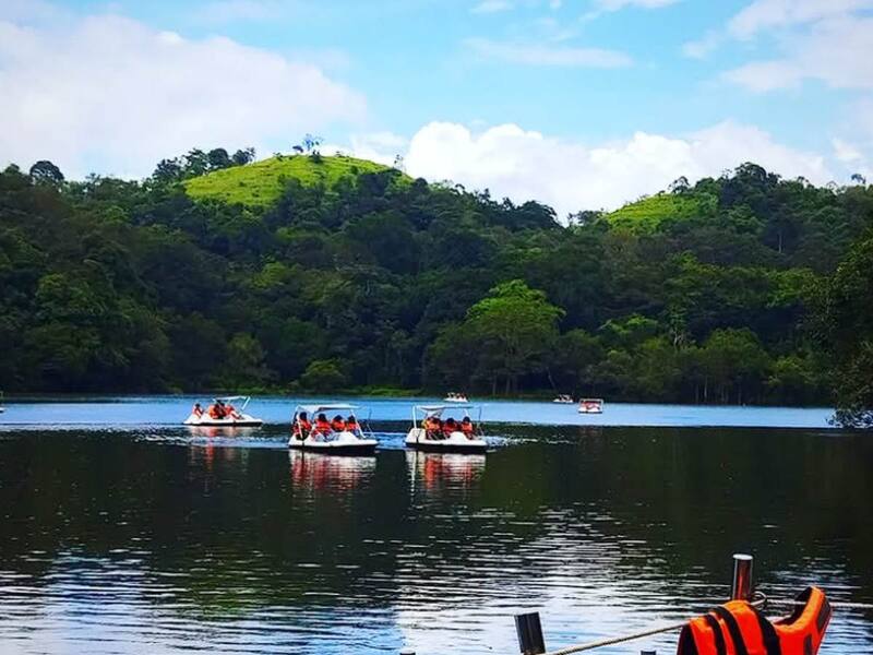 From Waterfalls To Treehouses: 8 Honeymoon Places In Wayanad That Feel ...