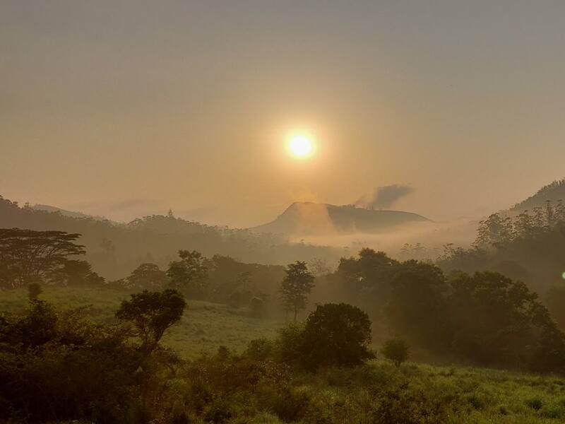 5 Best Trekking Experiences In Thekkady For First-Time Hikers And Pros ...