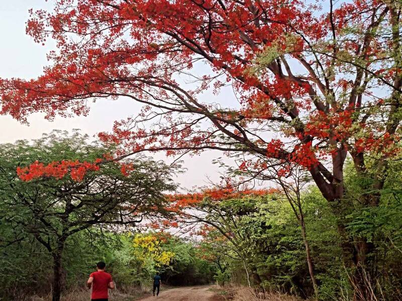 Skip The Heat With Punes 5 Amazing Locations To Enjoy Windy Breeze