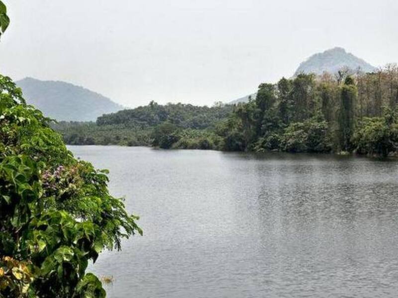 Experience The Joy Of Boating At These Stunning Lakes Around Kochi
