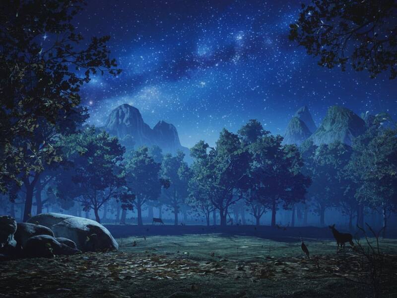 Ditch Hotels! Experience Shillong’s Forest Stay For One Magical Night