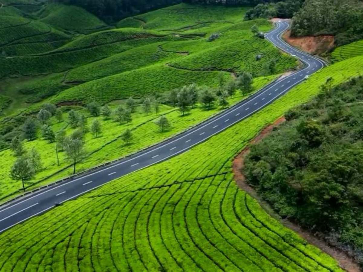 Where The Jungle Whispers With 7 Best Places To Visit In Thekkady