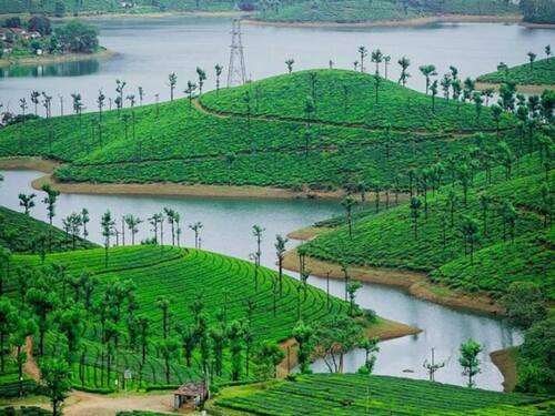 Valparai Travel Guide : Latest News, Videos and Photos on valparai ...